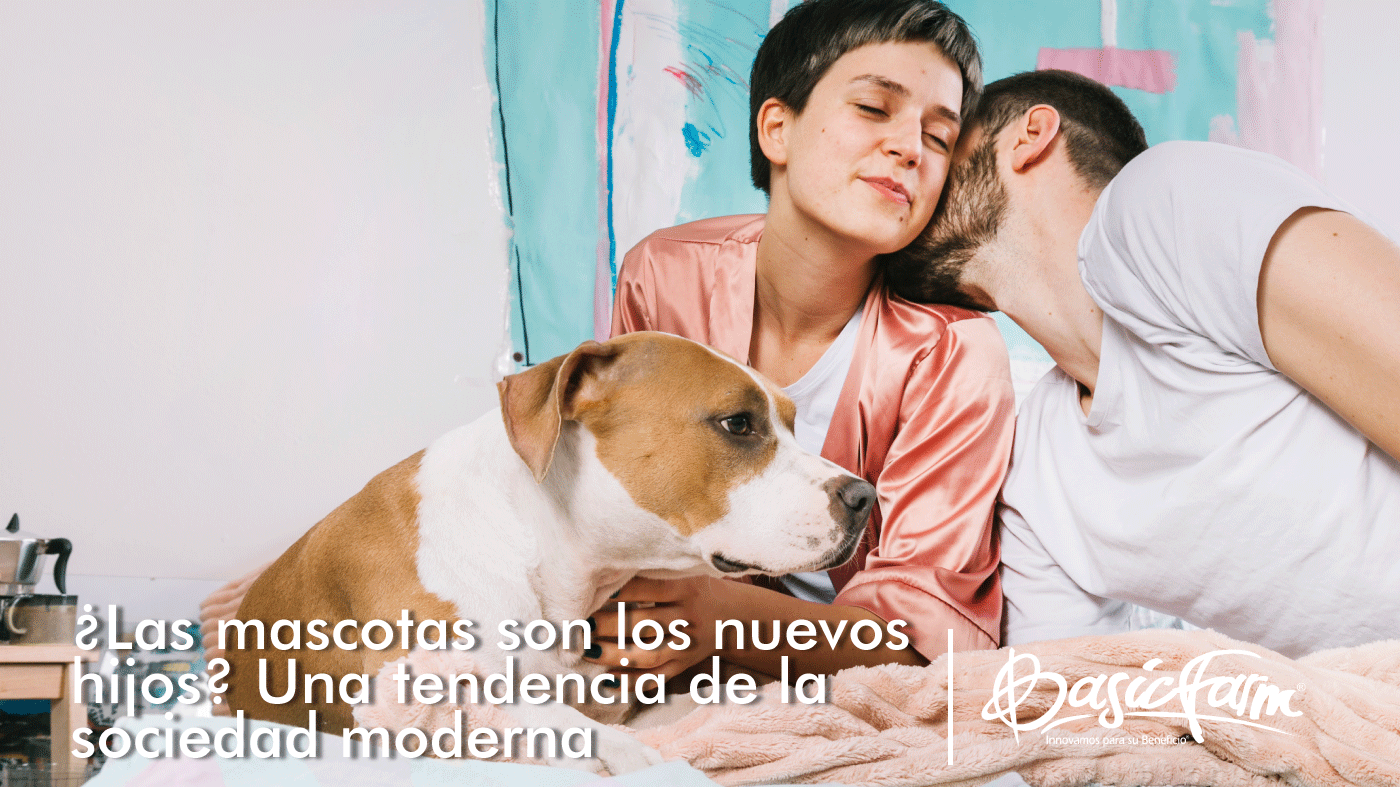 ¿Las mascotas son los nuevos hijos? Una tendencia de la sociedad moderna